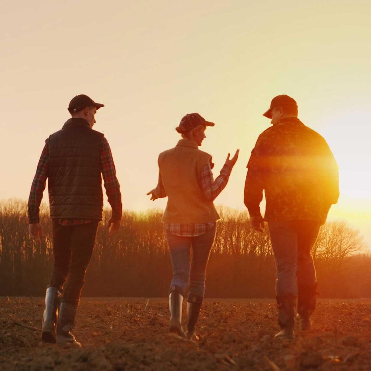 Ilif Food | Best Italian Food Exporters